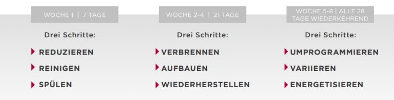 Das ZEN System - Fit & Gesund